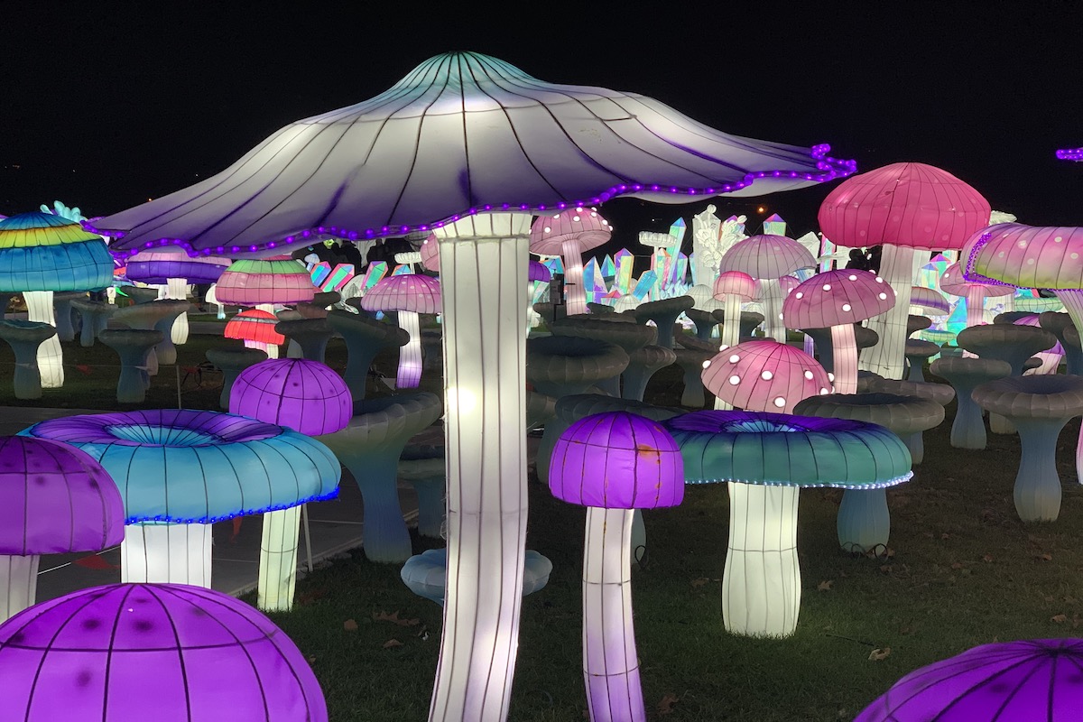 Luminocity : a festival of lights and art in New York City - ©New York.com